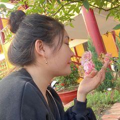 Tam Robin's Post|Lemon8