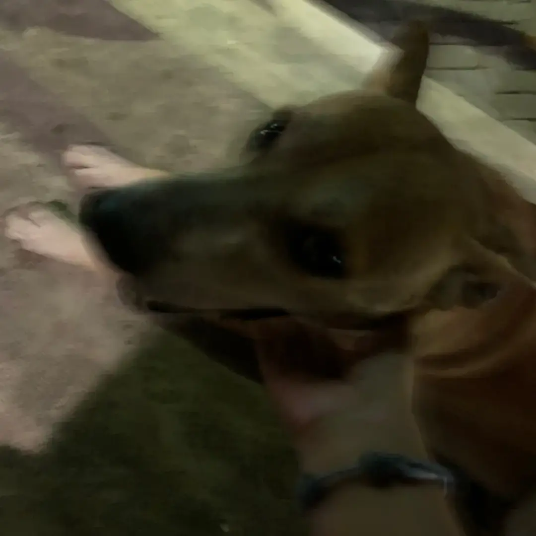 dis cos tan's Post|Lemon8