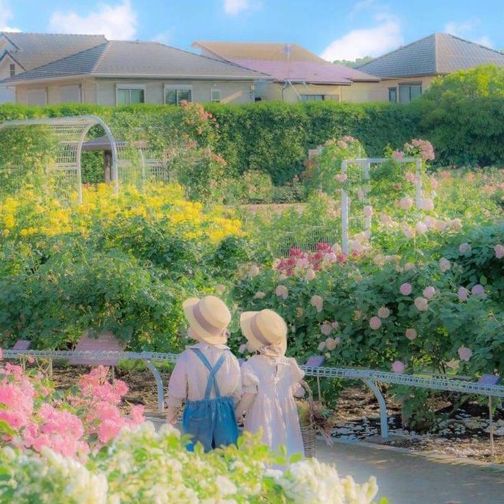 Melon🍒's Post|Lemon8