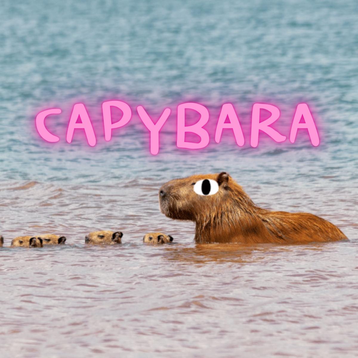 Capybara's Post|Lemon8