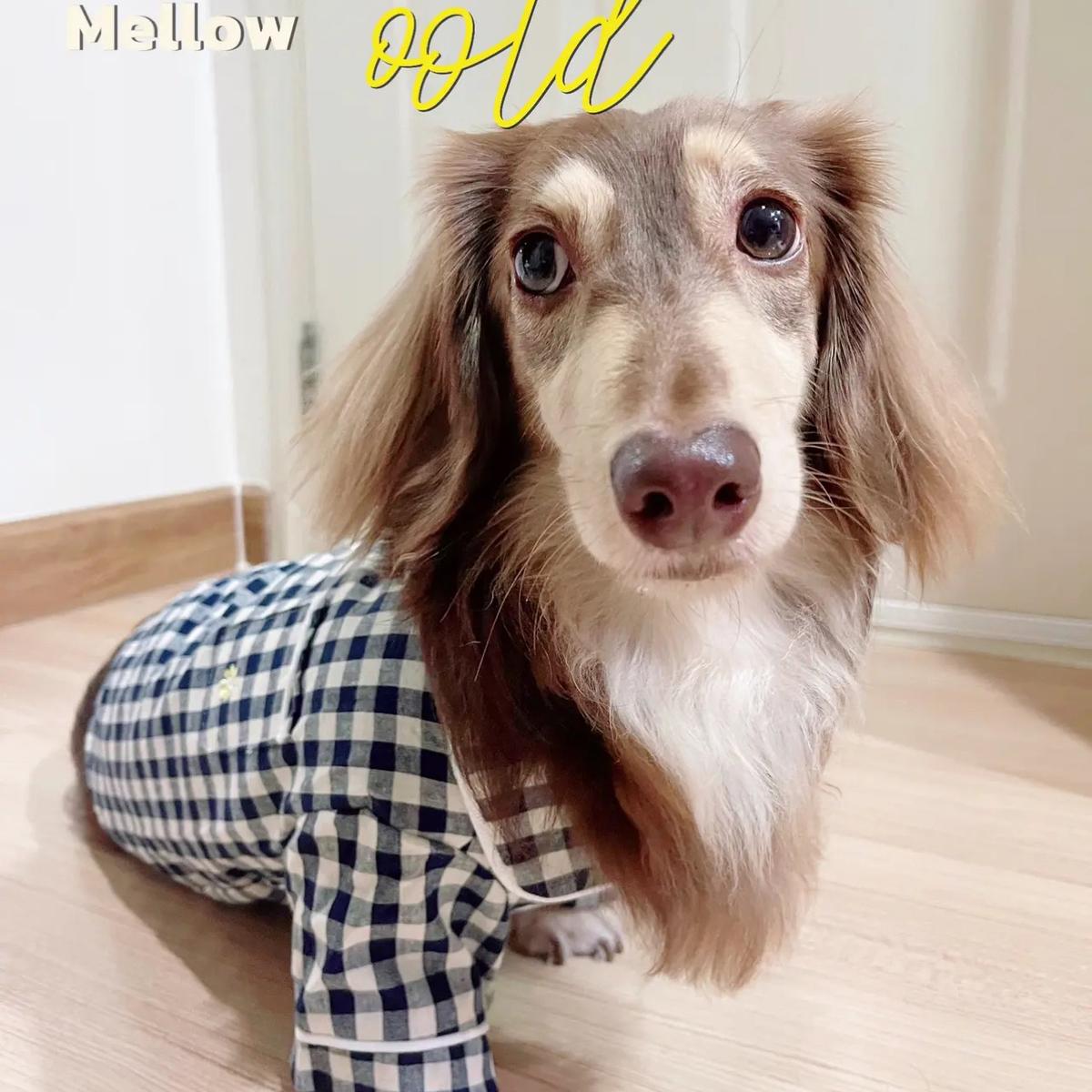 Double Shunny's Post|Lemon8