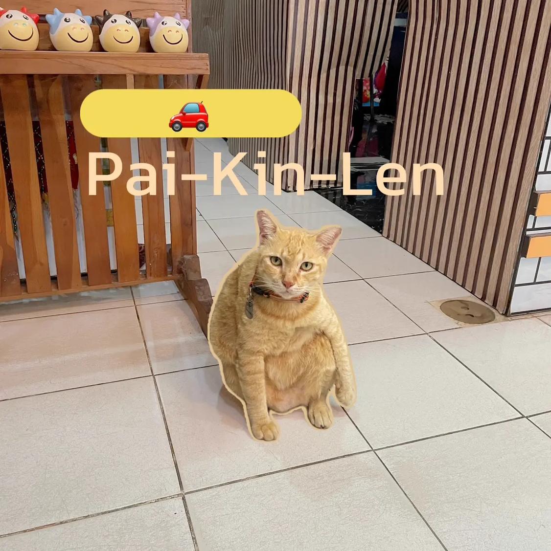 Pai-Kin-Len's Post|Lemon8