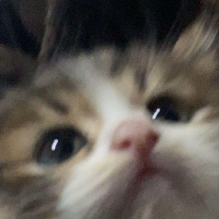 pingping's Post|Lemon8