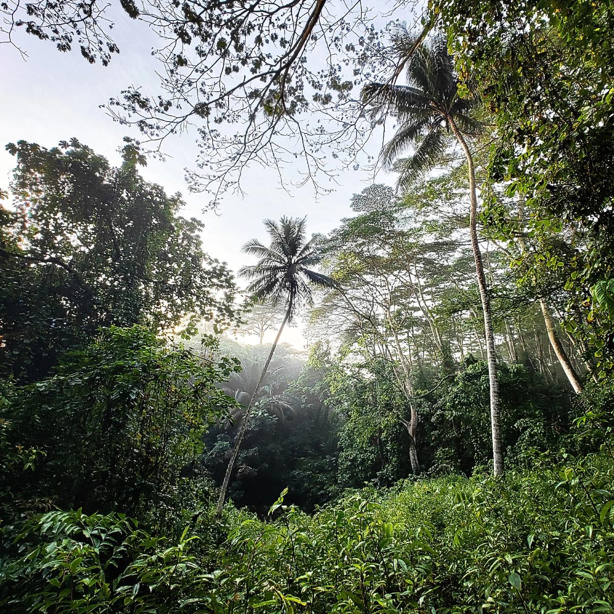 AngelicLeopard's Post|Lemon8