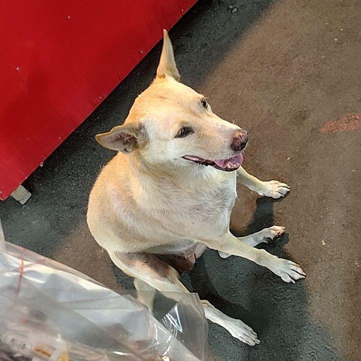 jejeko''s Post|Lemon8