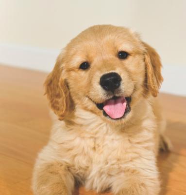 Hiro the GR's Post|Lemon8