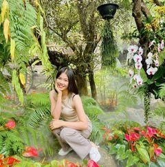 Phimchanok Phim's Post|Lemon8