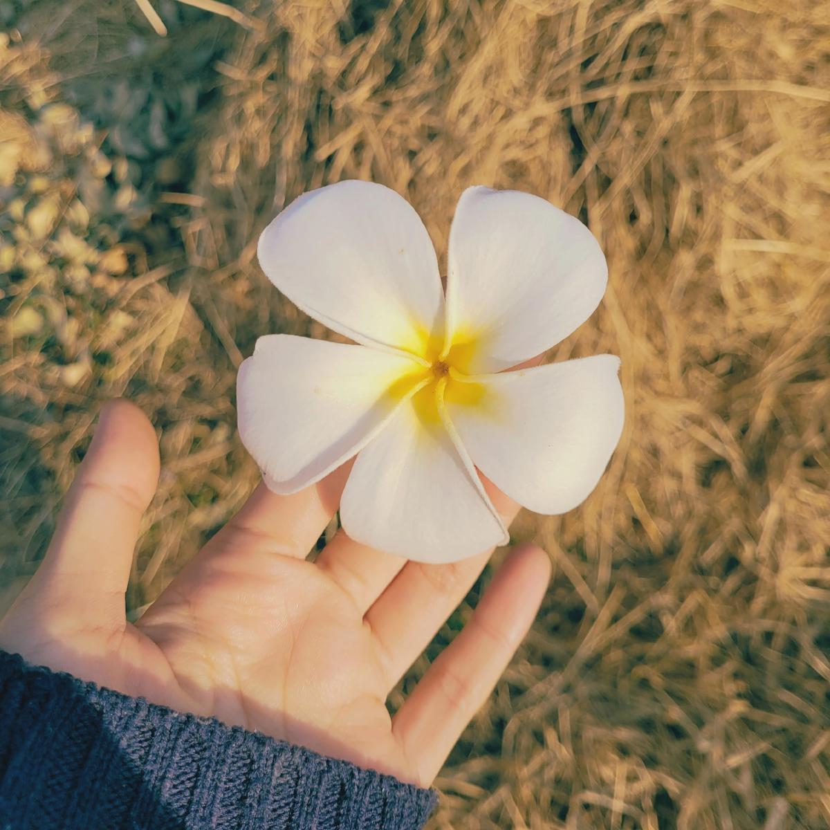 Tipsuda's Post|Lemon8