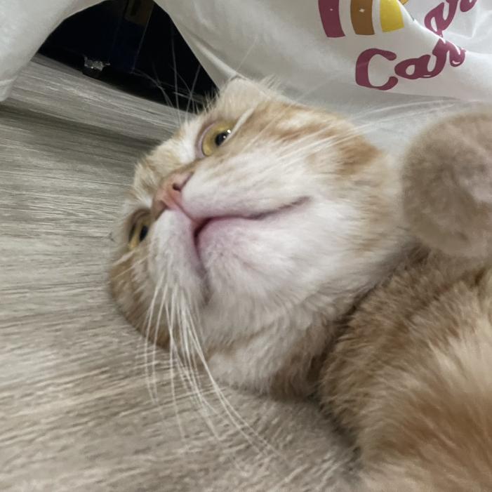 Patcharida k.'s Post|Lemon8