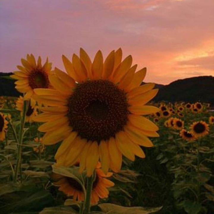 winda wibandari's Post|Lemon8