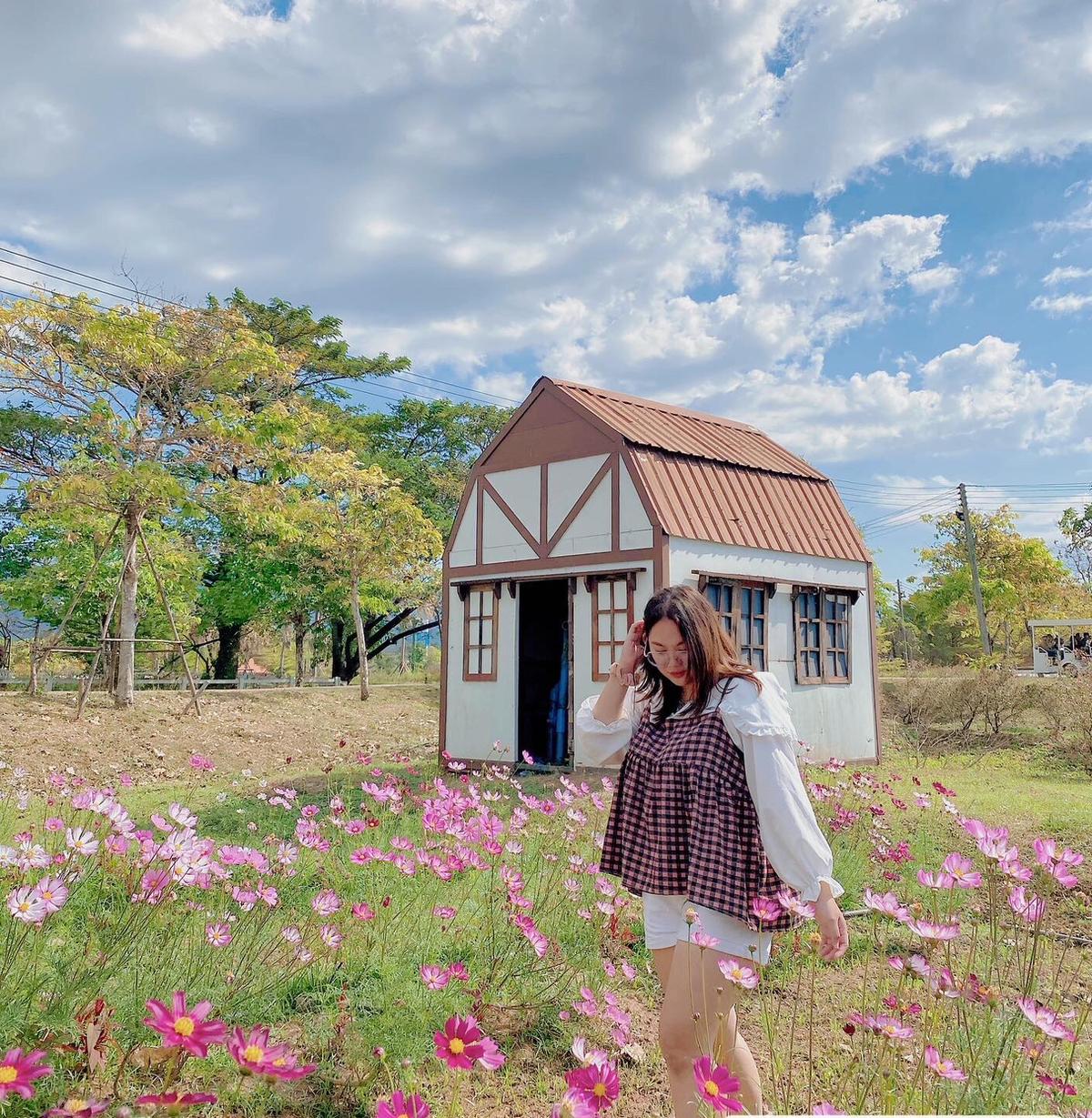 Aii.chachiyo🐻's Post|Lemon8