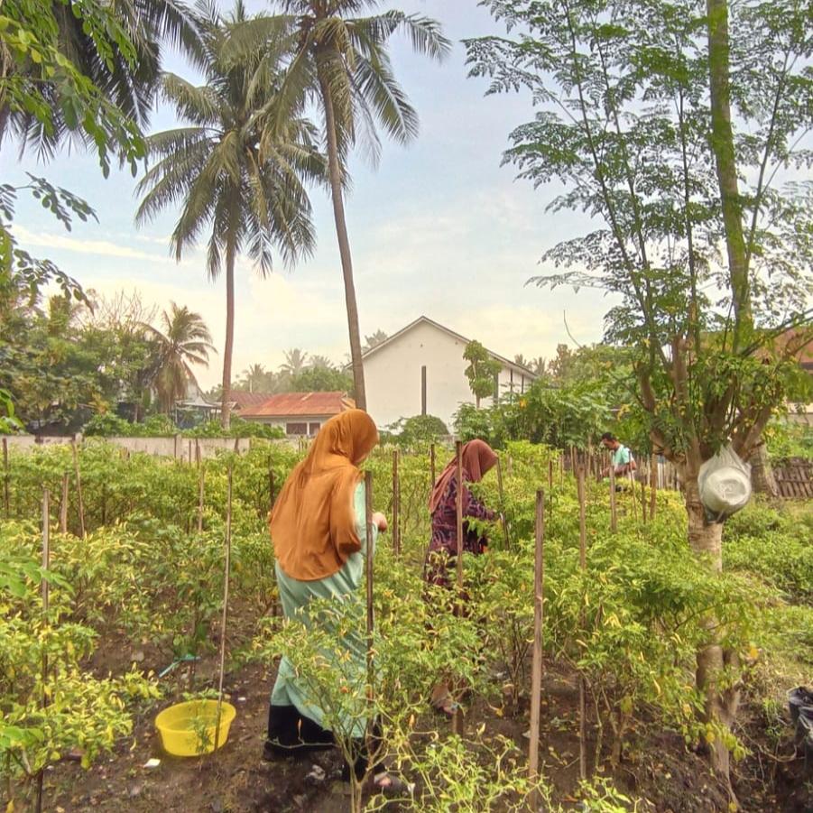 Isa Madjid's Post|Lemon8