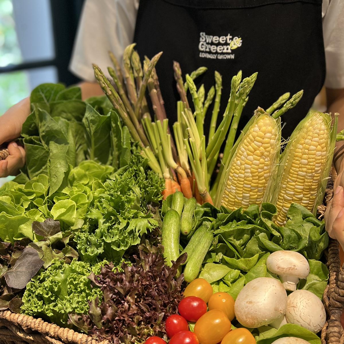 Sweet & Green's Post|Lemon8