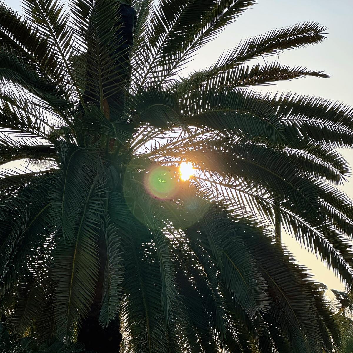 jim scott's Post|Lemon8