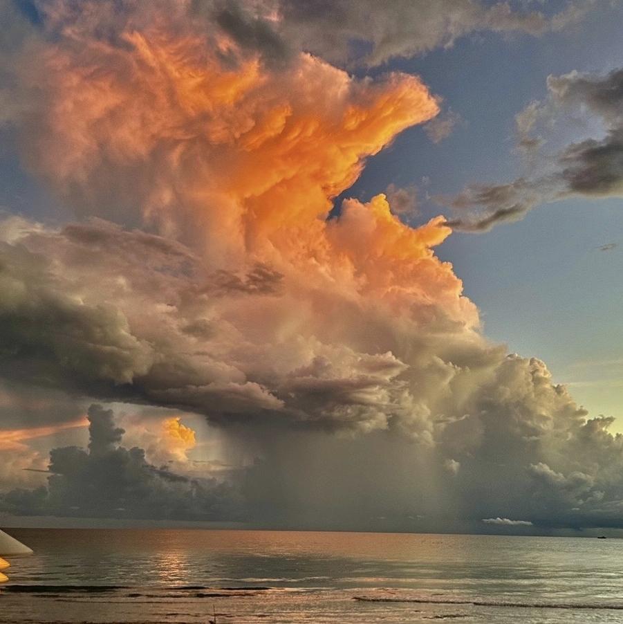 𝚛𝚞𝚋𝚢-𝙼𝚊𝚎's Post|Lemon8