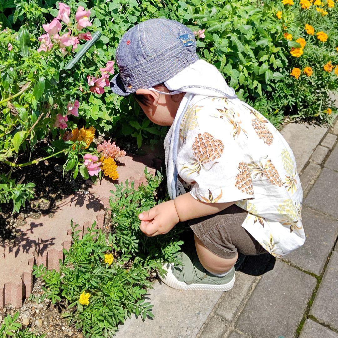 aya-ayaさんの投稿|Lemon8