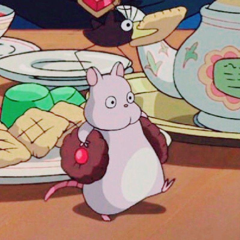 Ayanoさんの投稿|Lemon8