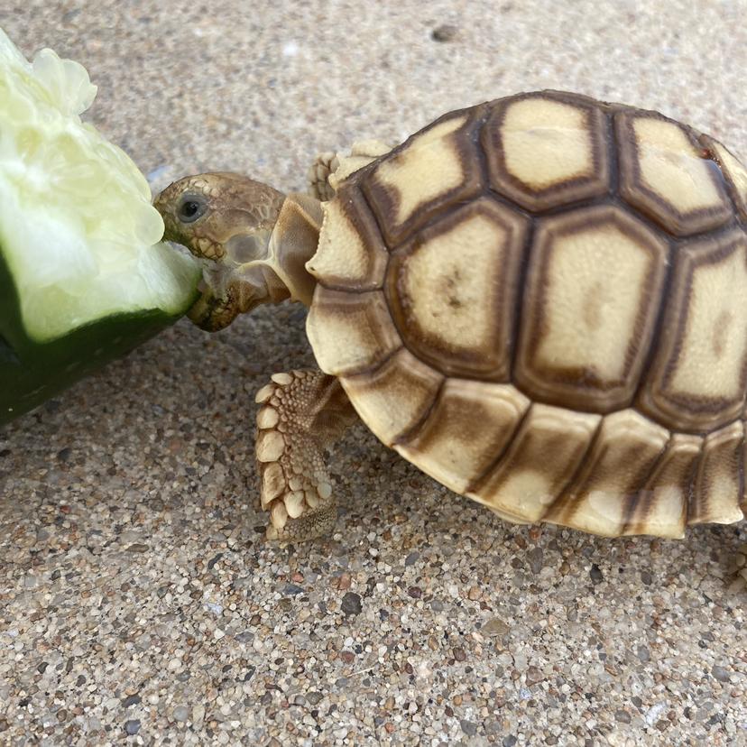 Taylor ️'s Post|Lemon8