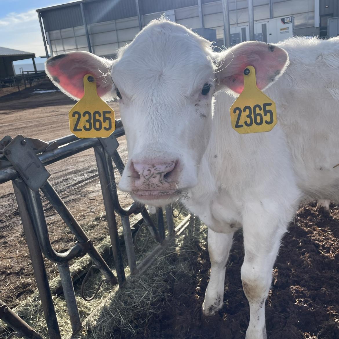 Corin Walters's Post|Lemon8