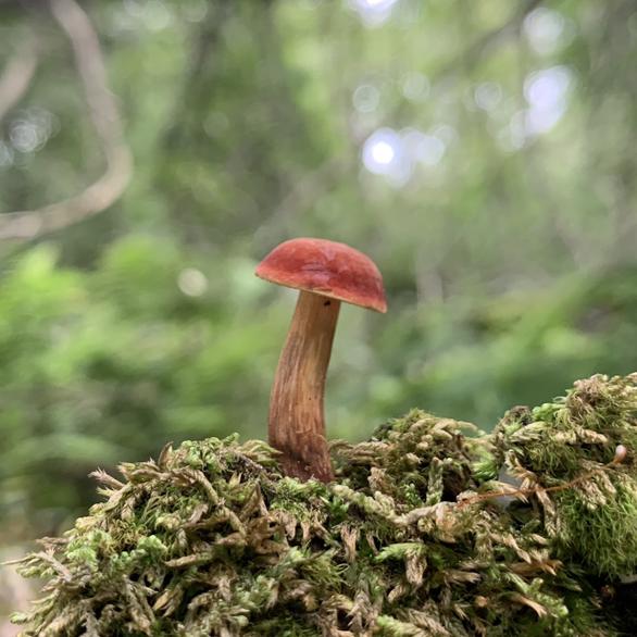 Natalie Wingard's Post|Lemon8