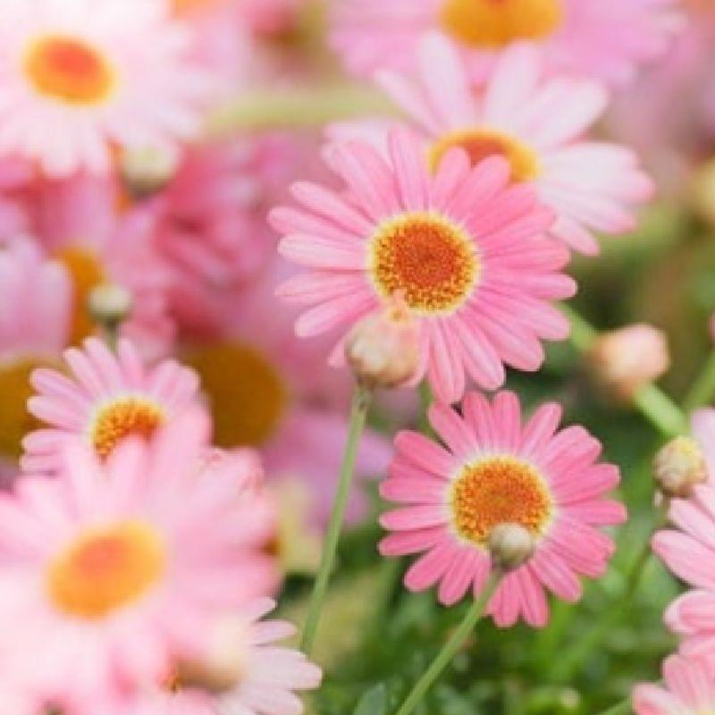 noriさんの投稿|Lemon8