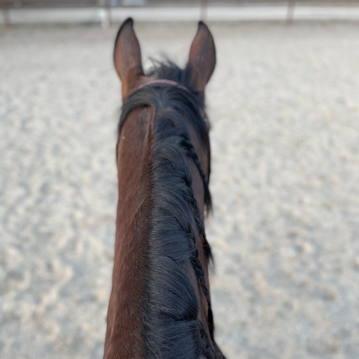 Bradi Vitour's Post|Lemon8