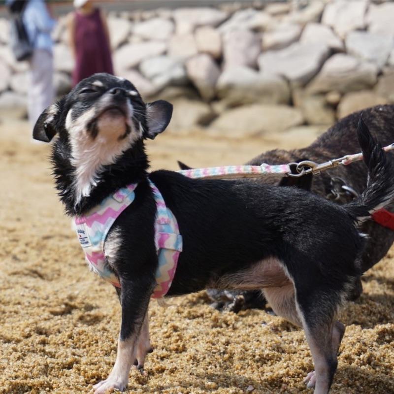 asarin's Post|Lemon8