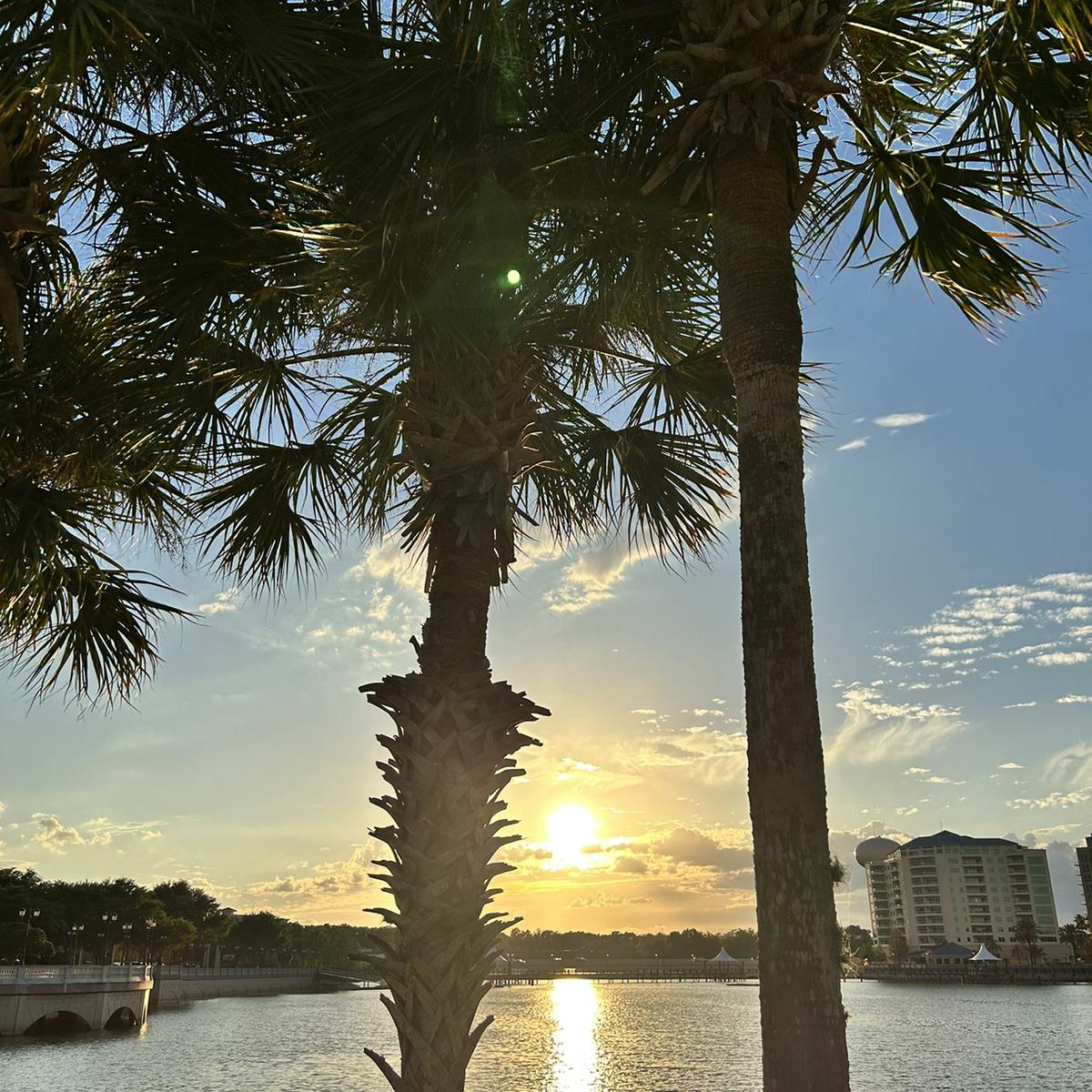 Elissa Nelson's Post|Lemon8