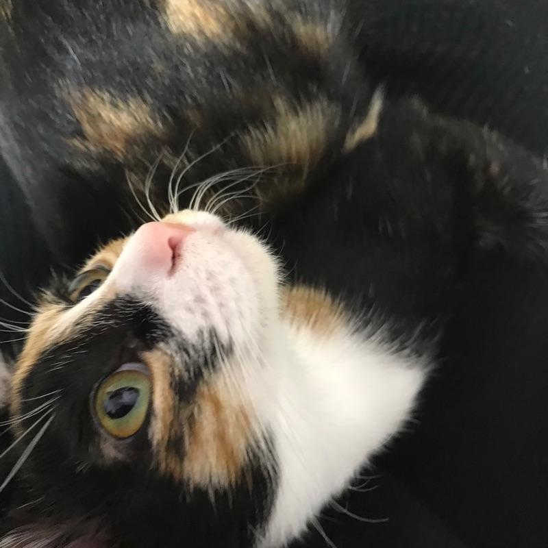 miwako's Post|Lemon8