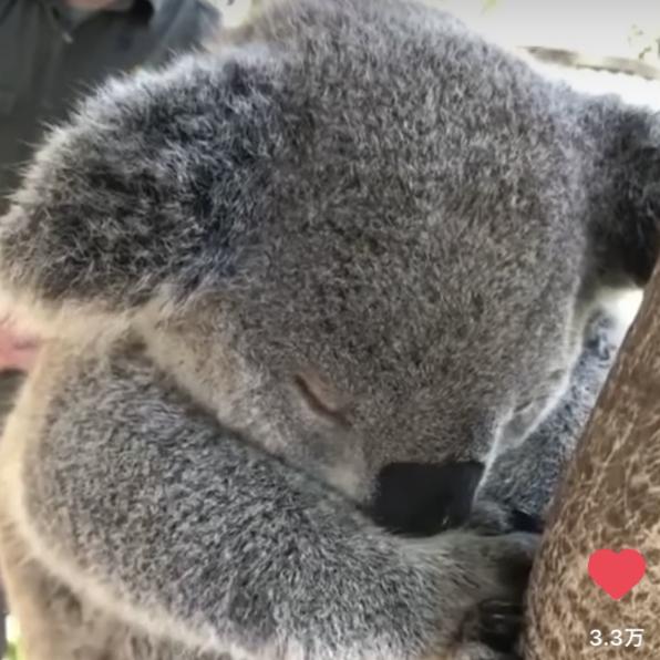 wave.wave's Post|Lemon8