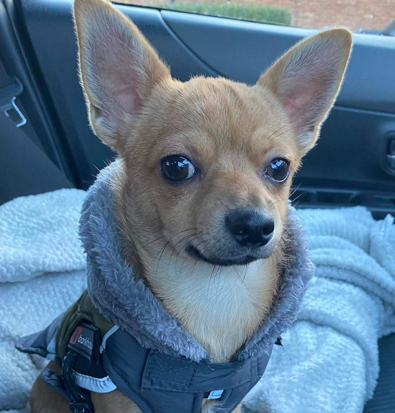 Gerry Pup's Post|Lemon8