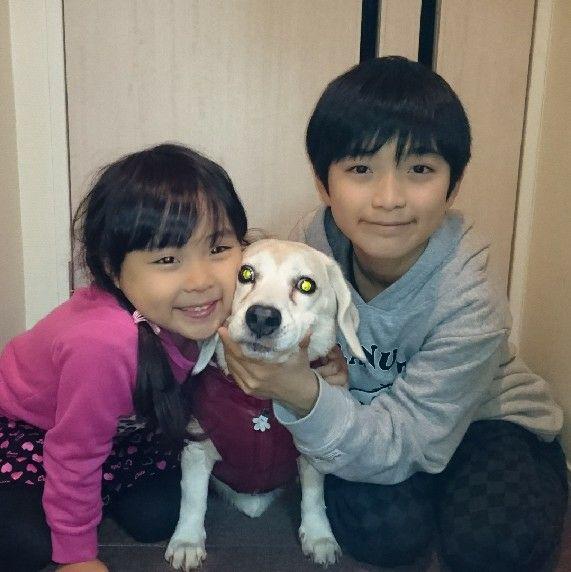 Yoko Tanaka's Post|Lemon8