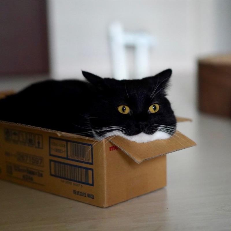 hiro_1023's Post|Lemon8