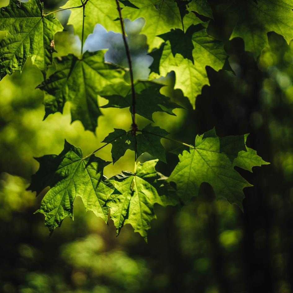 Cheryl.GX's Post|Lemon8