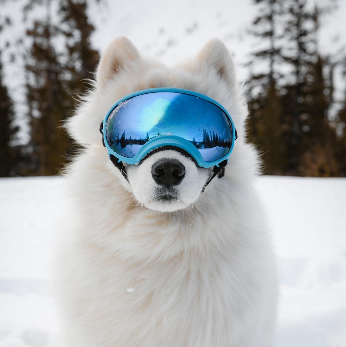 BoomerLandcloud's Post|Lemon8