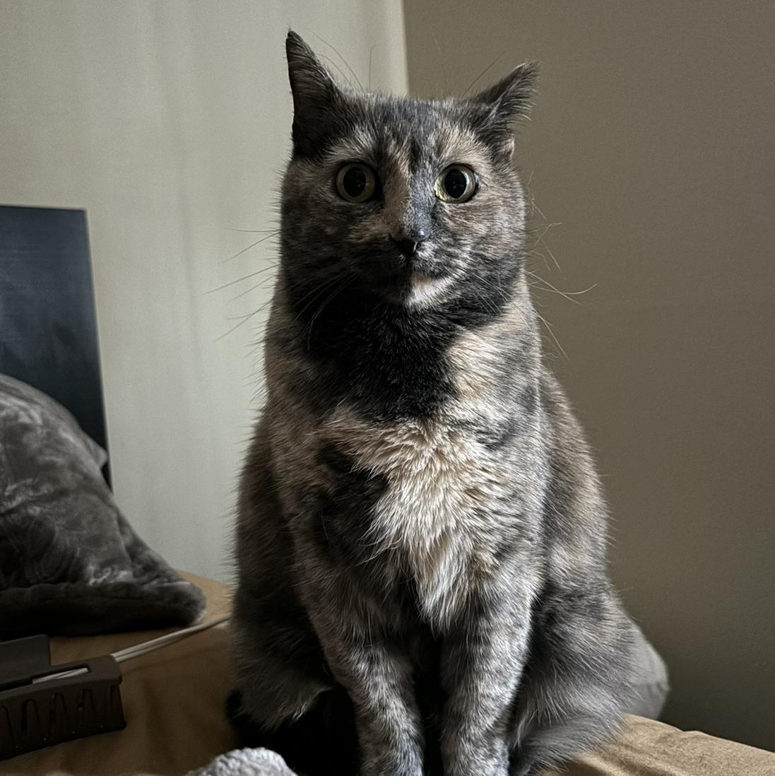 Grammy Bear's Post|Lemon8