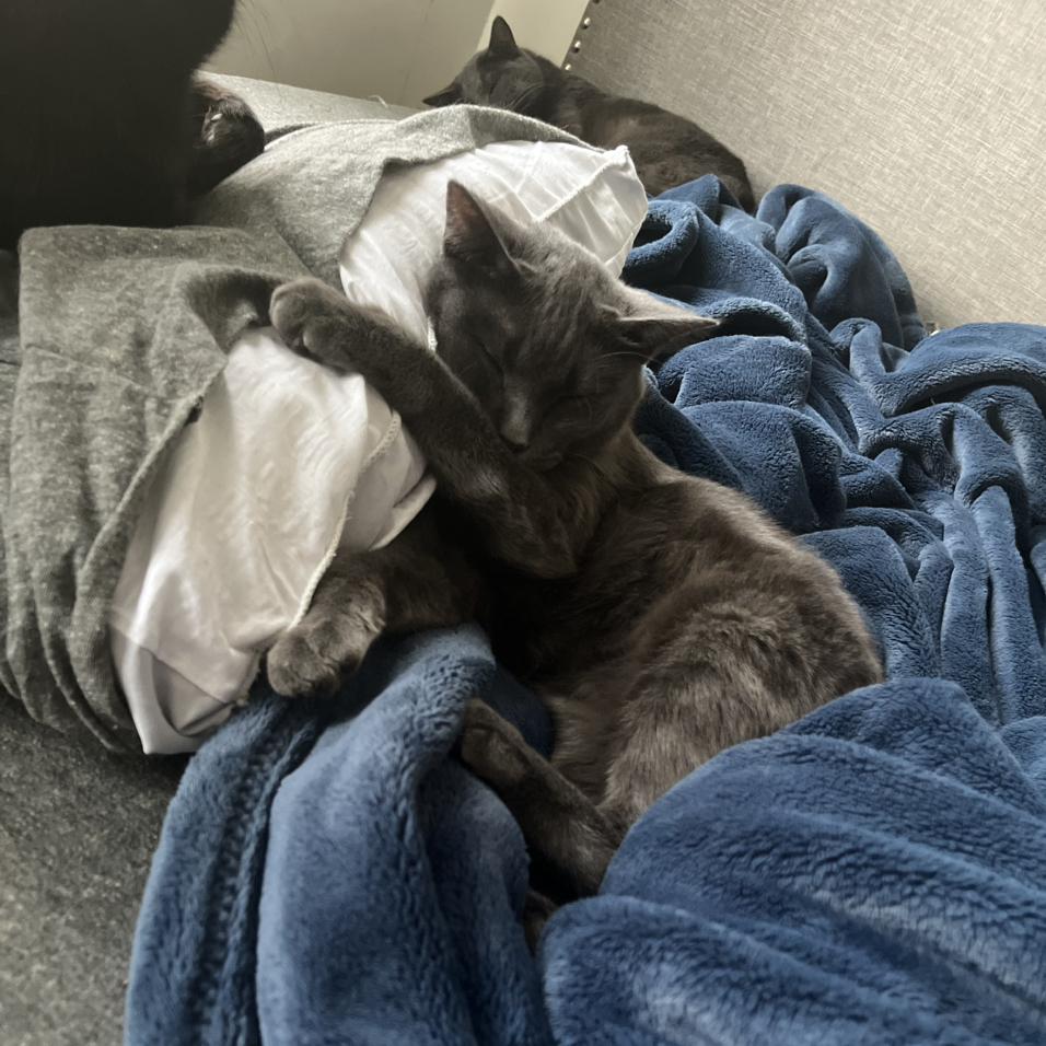 Mrs.Morris's Post|Lemon8