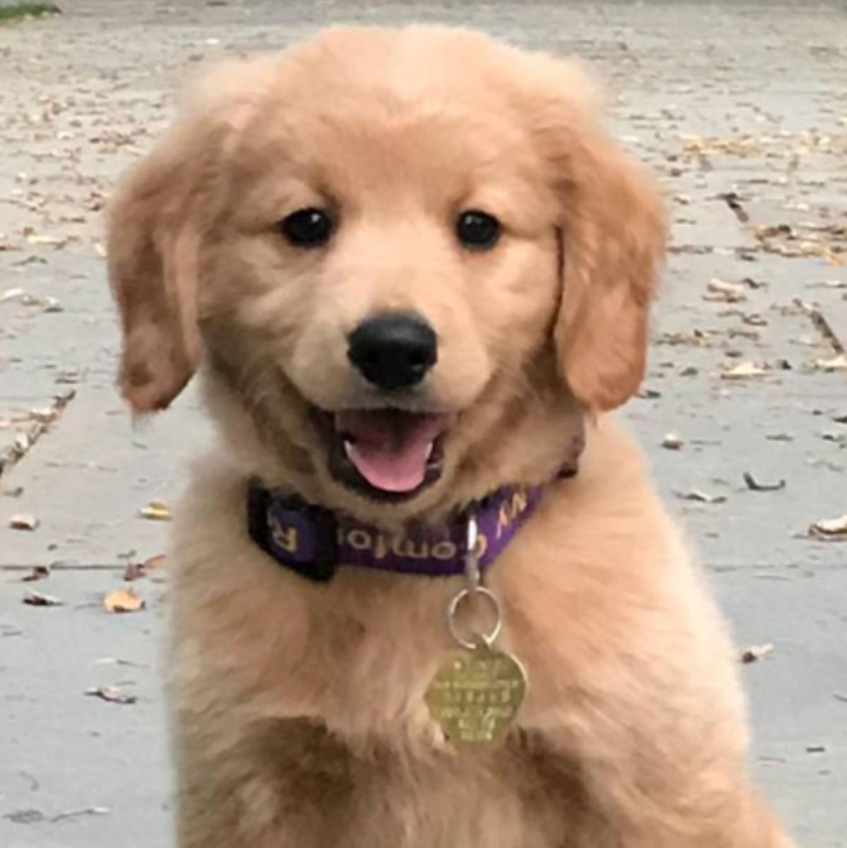 -Serenity-Slayz's Post|Lemon8