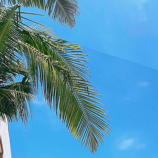 Summer_15's Post|Lemon8