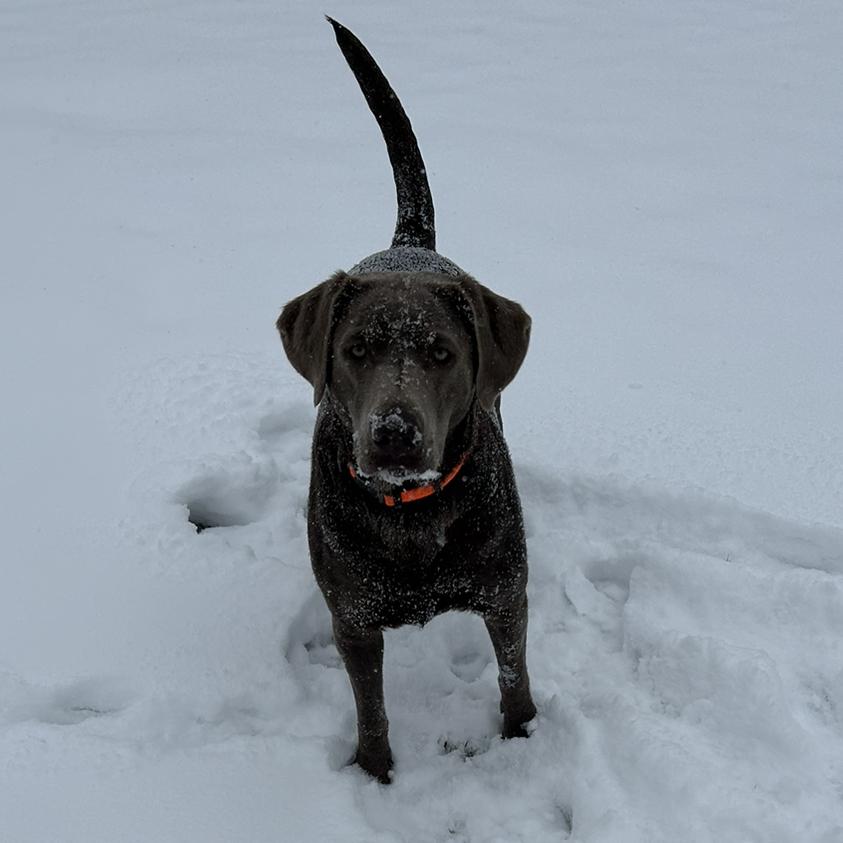 Ur_fav_kar.1's Post|Lemon8