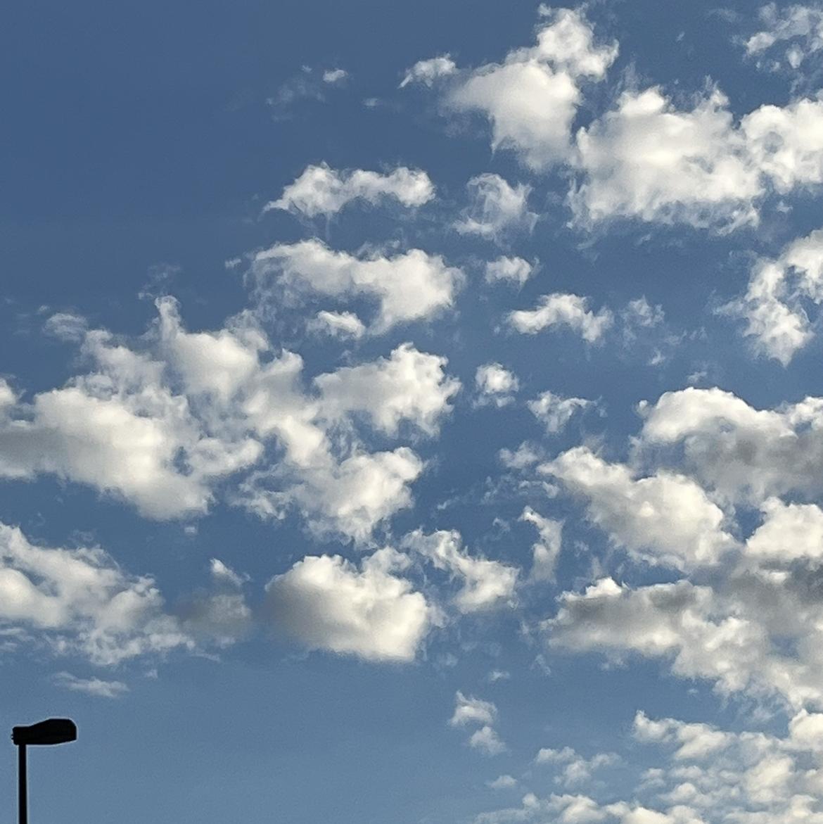 risaさんの投稿|Lemon8