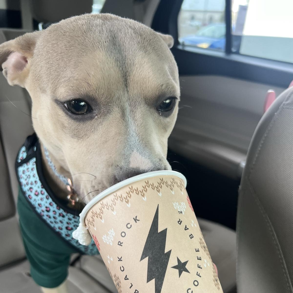 Echo’s World's Post|Lemon8