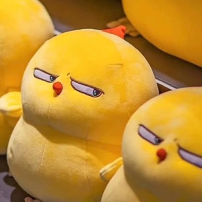 Airiさんの投稿|Lemon8