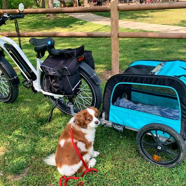 Miles is Miles's Post|Lemon8