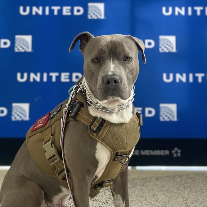 Charles 🐾's Post|Lemon8