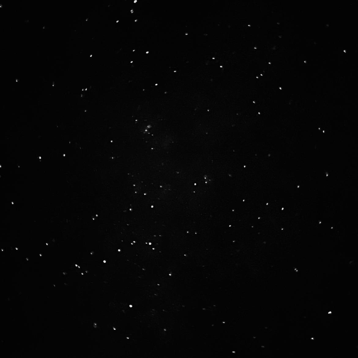 Nathan James's Post|Lemon8