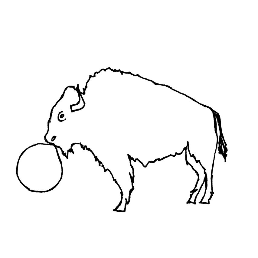 Buffalo&Bubble's Post|Lemon8