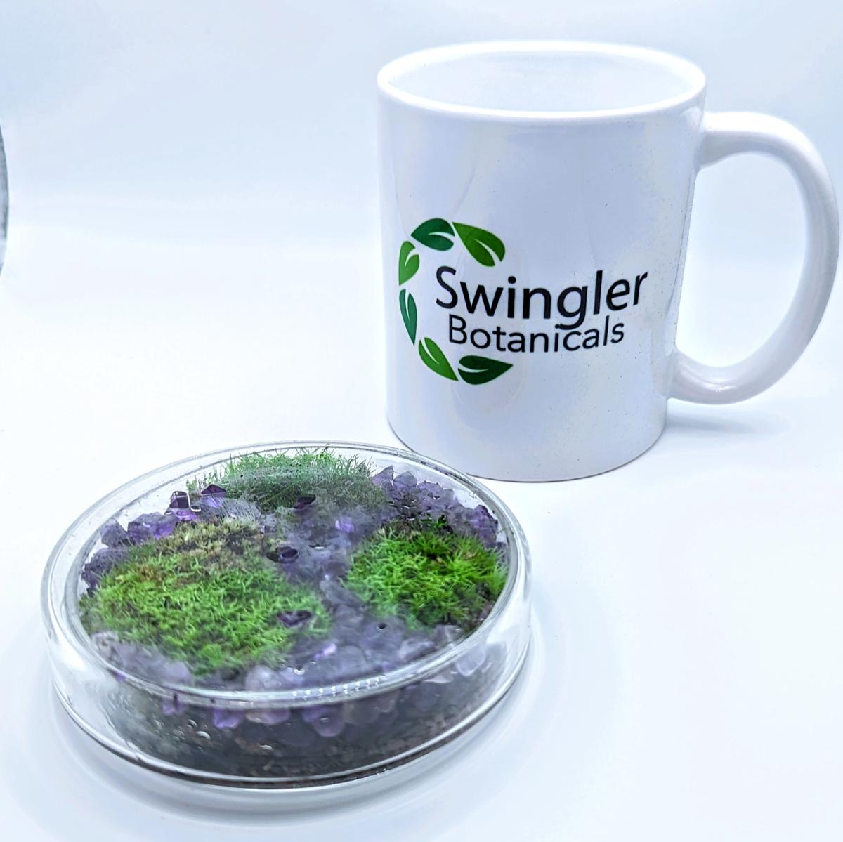 Robert Swingler's Post|Lemon8