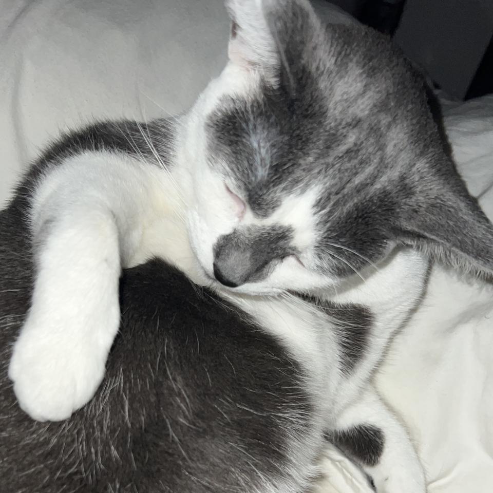 Miss Chan's Post|Lemon8