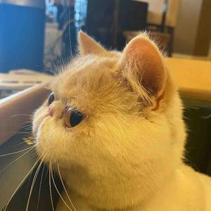 coconut's Post|Lemon8